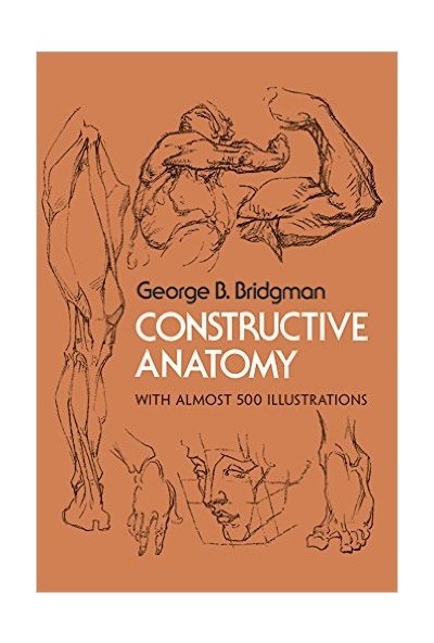 Constructive Anatomy