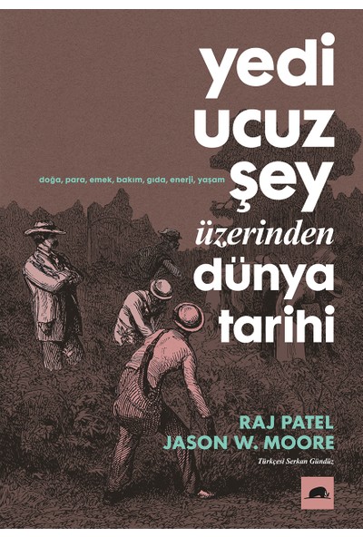Yedi Ucuz Şey Üzerinden Dünya Tarihi - Raj Patel
