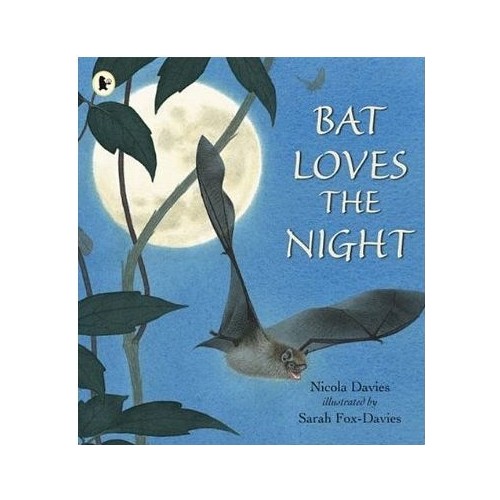 Bat Loves The Night Kitabı ve Fiyatı - Hepsiburada