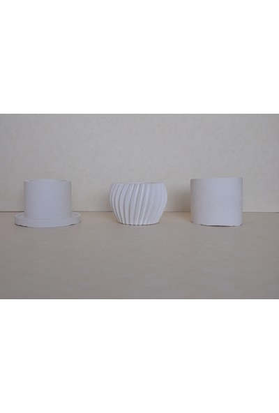 Tayi Grup Ham Sukulent Saksı 3'lü