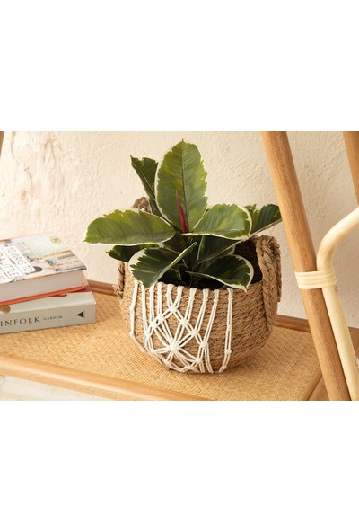 English Home Monreo Sepet 23 x 21 cm Kahverengi English Home Monreo Sepet 23 x 21 cm Kahverengi