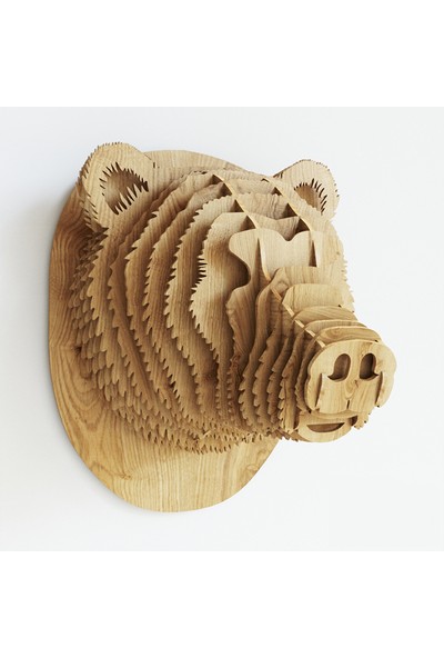 Ayı Kafası Duvar Dekoru