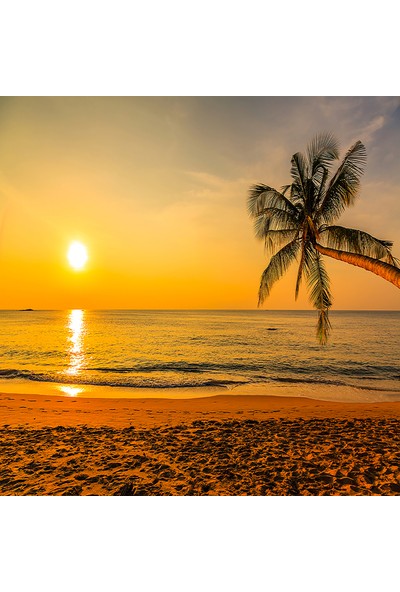 Burawall Tek Parça Poster Duvar Kağıdı