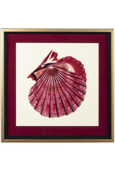 Mikasa Moor Shell Red Tablo 40 x 40 cm