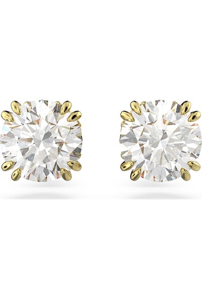 Swarovski SWR5642595 Kadın Küpe