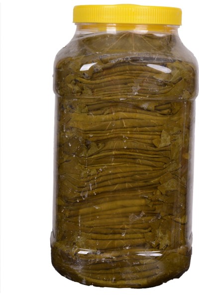 Erba Erbaa Asma Bağ Yaprağı Erba Erbaa Asma Bağ Yaprağı