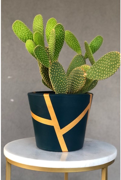 RwFhome Asimetrik Desen Büyük Boy (24X20 Cm) Toprak Saksı