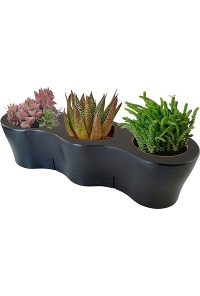 Strongart Dekoratif Kaktüs Sukulent Beton Saksı - Beyaz Siyah Strongart Dekoratif Kaktüs Sukulent Beton Saksı - Beyaz Siyah