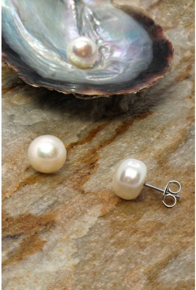 Jujuba Gerçek Inci Beyaz Top Küpe (8 Mm) Jujuba Gerçek Inci Beyaz Top Küpe (8 Mm)
