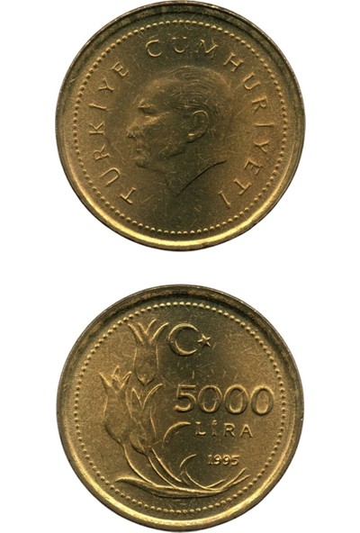 Benim Koleksiyonum 5.000 Lira (1995) Çil Eski Madeni Para Benim Koleksiyonum 5.000 Lira (1995) Çil Eski Madeni Para