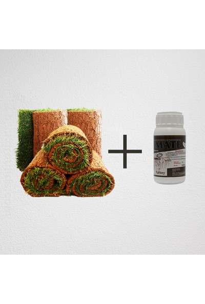 Teta Tohum 5'li Rulo Çim 50 x 100 cm + 250 cc Humik Asit