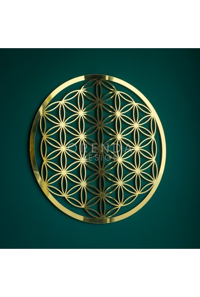 Orenda Design Yaşamçiçeği Duvar Tablosu Gold Pleksi