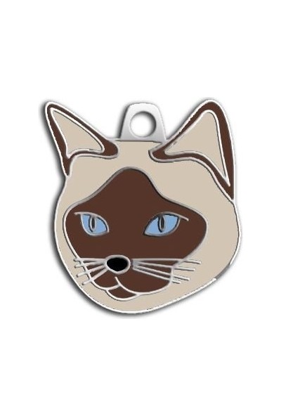 Mimi Kahverengi Krem Siyam Kedisi Kedi Künyesi Mimi Kahverengi Krem Siyam Kedisi Kedi Künyesi