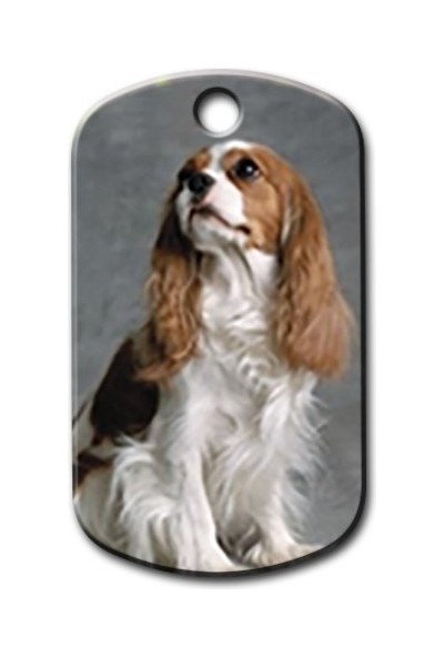 Mimi Cavalier King Charles Resimli Köpek Künyesi Mimi Cavalier King Charles Resimli Köpek Künyesi