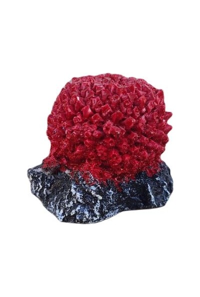 Canlipetshop Yapay Mercan Dekor Anemon Kırmızı Canlipetshop Yapay Mercan Dekor Anemon Kırmızı