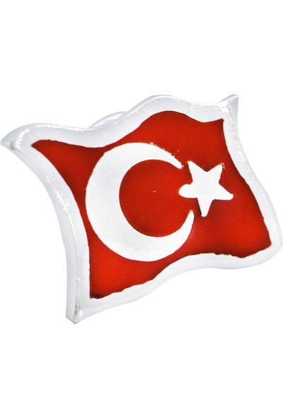 Doğan Silver 925 Ayar Gümüş Ayyıldız Rozet DGN20245 Doğan Silver 925 Ayar Gümüş Ayyıldız Rozet DGN20245