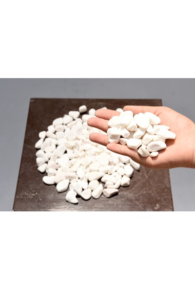 Bitki Kapında Beyaz Dolomit Taşı 1-2cm, Peyzaj Taşı, Dekoratif Akvaryum Taşı, Süs Taşı, Saksı Taşı, Beyaz Taş, Bahçe Taşı Bitki Kapında Beyaz Dolomit Taşı 1-2cm, Peyzaj Taşı, Dekoratif Akvaryum Taşı, Süs Taşı, Saksı Taşı, Beyaz Taş, Bahçe Taşı