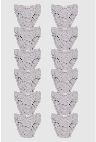 Ceylanoğlu 12'li Gri Penye Erkek Çocuk Kilotu 301