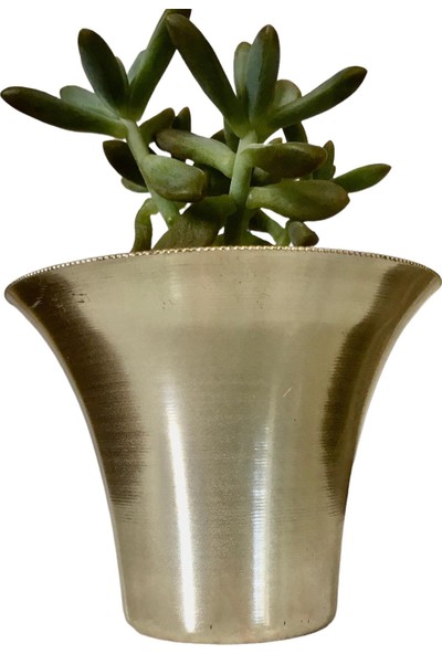 Barış Yapı Market Dekoratif Gümüş Rengi Bakır Saksı Barış Yapı Market Dekoratif Gümüş Rengi Bakır Saksı