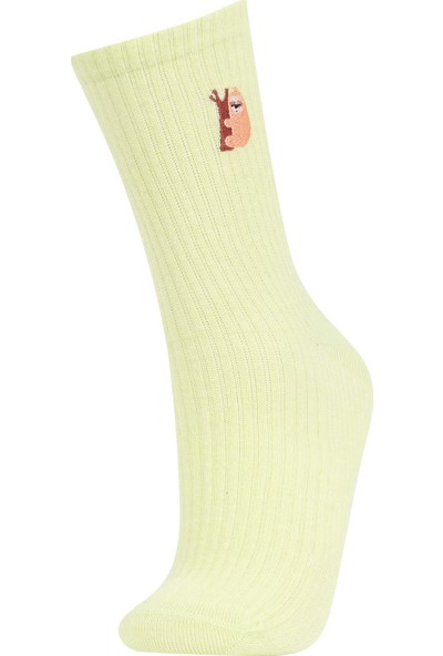 DeFacto Kadın Pamuklu Uzun ÇORAP Y5671AZNS DeFacto Kadın Pamuklu Uzun ÇORAP Y5671AZNS