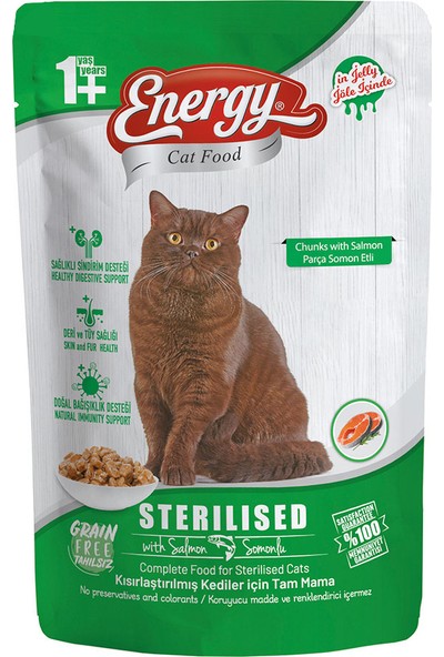 Cat Food Energy Somonlu Kısırlaştırılmış Islak Kedi Maması 85 G Özel Koli 12 Adet Cat Food Energy Somonlu Kısırlaştırılmış Islak Kedi Maması 85 G Özel Koli 12 Adet