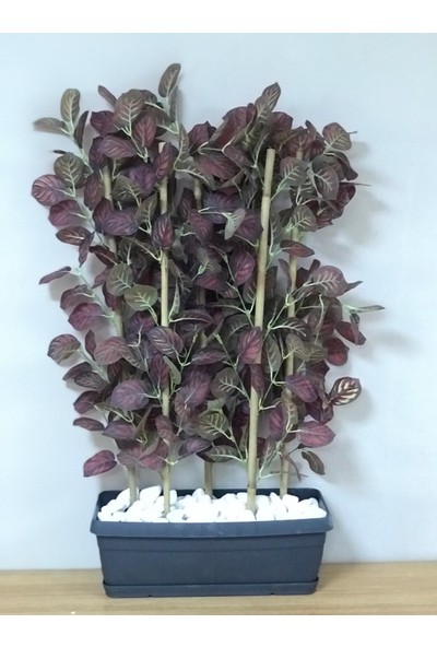 Gardenonya Yapay Yoğun Yapraklı Dekoratif Calethea Ağacı 5 Gövde 120CM Gardenonya Yapay Yoğun Yapraklı Dekoratif Calethea Ağacı 5 Gövde 120CM