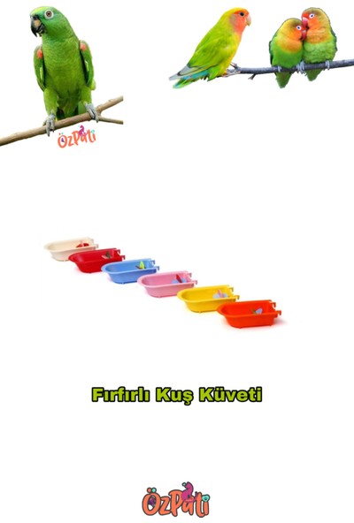 Fırfırlı Kuş Küveti
