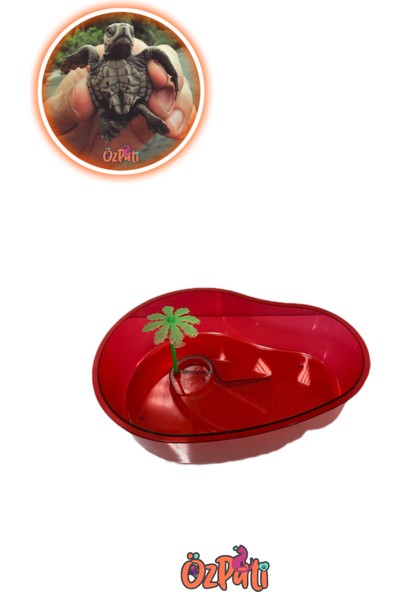 Kırmızı Kaplumağa Bahçesi ( Armudi 32 cm ) Kırmızı Kaplumağa Bahçesi ( Armudi 32 cm )