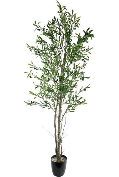 Nettenevime Yapay Zeytin Ağacı 190CM 2 Gövdeli Çalılı Doğal Gerçek Görünümlü Yapay Ağaç Nettenevime Yapay Zeytin Ağacı 190CM 2 Gövdeli Çalılı Doğal Gerçek Görünümlü Yapay Ağaç