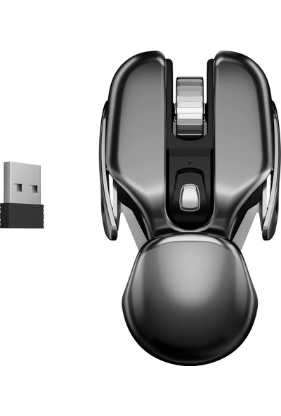 Dancesoul Kablosuz Mouse