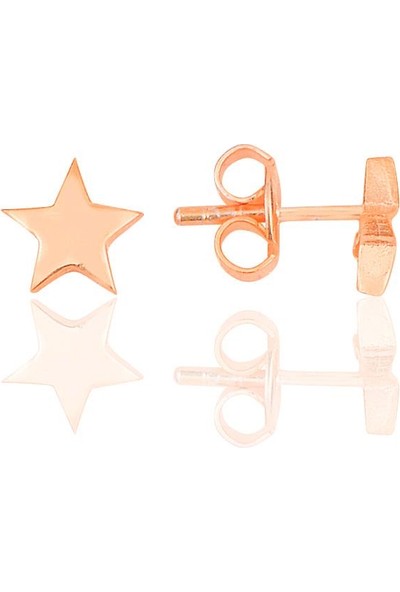 Söğütlü Silver Gümüş Rose Üç Boyutlu Yıldız Küpe