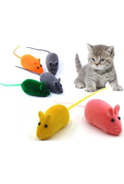 Gezeroğlu Petshop grezeroğlu Petshop Kedi Eğitim Oyun Faresi Sesli 2 'li Gezeroğlu Petshop grezeroğlu Petshop Kedi Eğitim Oyun Faresi Sesli 2 'li