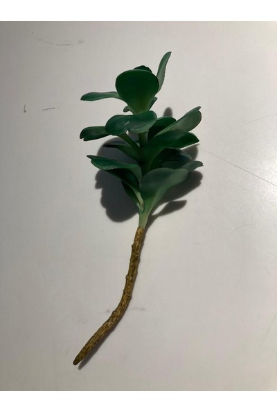 Dal Skulent Dal Skulent