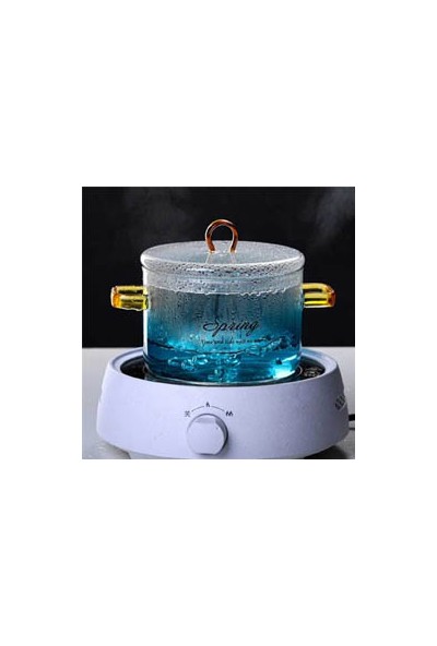 Morponi Blue Life Lüks Tasarım Borosilikat Cam Tencere 1500 ml