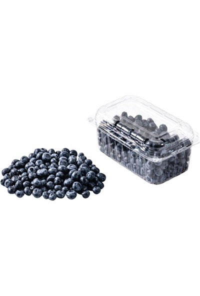 Patika Bluberry Yaban Mersini Yeni Hasat 1 kg