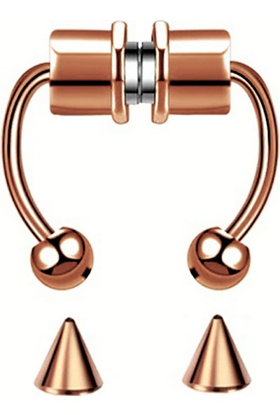 Tükkan Accessories Rose Mıknatıslı Burun Piercing Fake Piercing Sahte Septum Piercing Paslanmaz 316L Cerrahi Çelik Tükkan Accessories Rose Mıknatıslı Burun Piercing Fake Piercing Sahte Septum Piercing Paslanmaz 316L Cerrahi Çelik