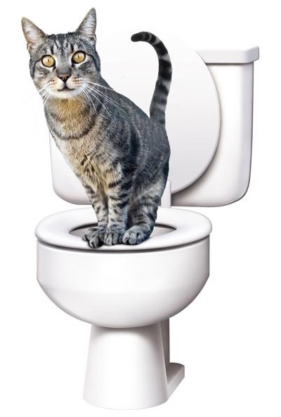 Citikitty- Kedi Klozet Eğitim Seti Citikitty- Kedi Klozet Eğitim Seti
