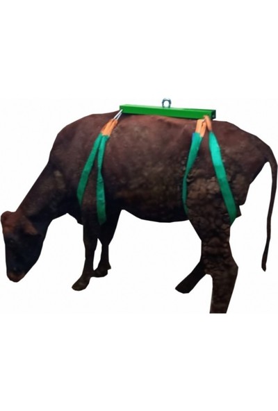 Sığır Kaldırma Aparatı