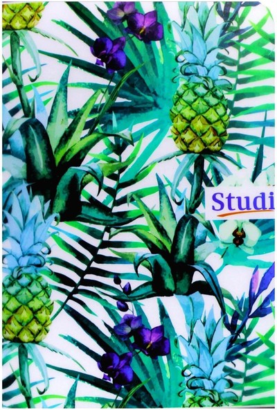 Studi A4 80 Yaprak Plastik Kapak Dikişli Defter Çizgili Studi A4 80 Yaprak Plastik Kapak Dikişli Defter Çizgili