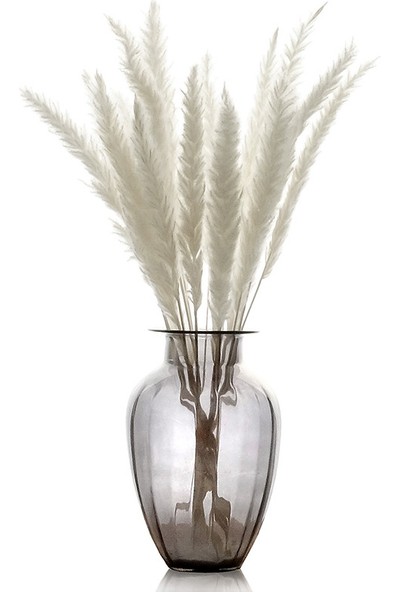 Shanxiu Store 15 Adet Beyaz Kurutulmuş Küçük Pampa Otu (Yurt Dışandan)