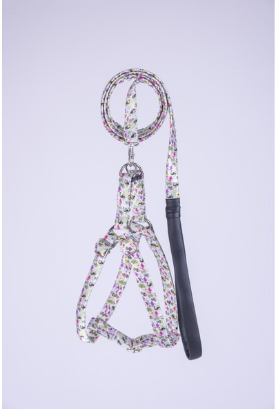 Summer Hit Küçük Irk Köpek Göğüs Tasması