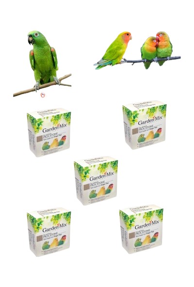 Garden Mix Kutulu Gaga Taşı 5 Adet Garden Mix Kutulu Gaga Taşı 5 Adet
