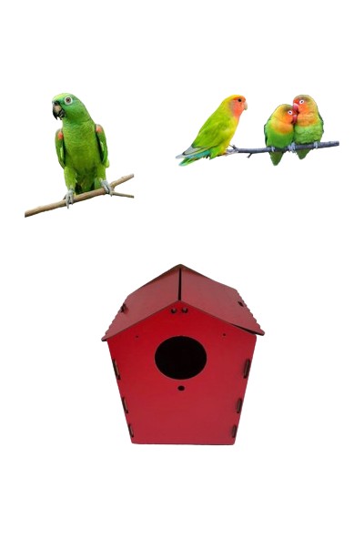 Quik Kırmızı Muhabbet Kuşu Yuvası Quik Kırmızı Muhabbet Kuşu Yuvası