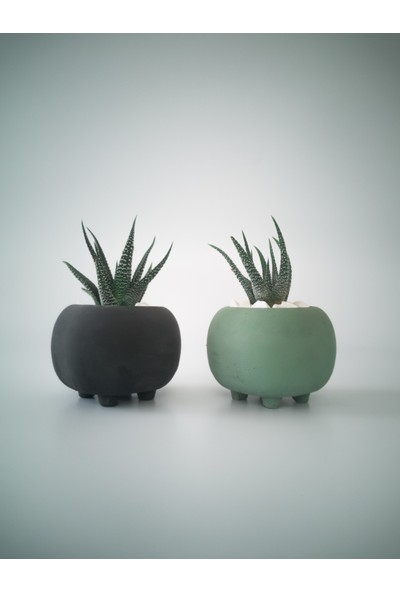 Decoratid 2'li Dekoratif Hediyelik Oval & Kare Desenli Sukulent & Kaktüs Saksısı