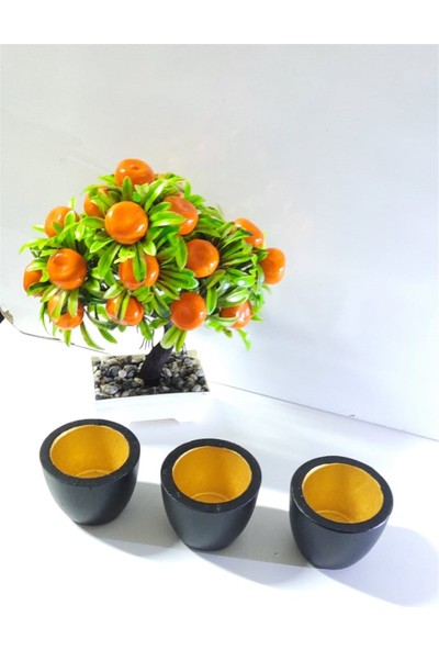 Ega Toptan 3 Lü Sukulent Saksı - Siyah Gold Kaktüs Saksı Beton Çiçek Saksısı