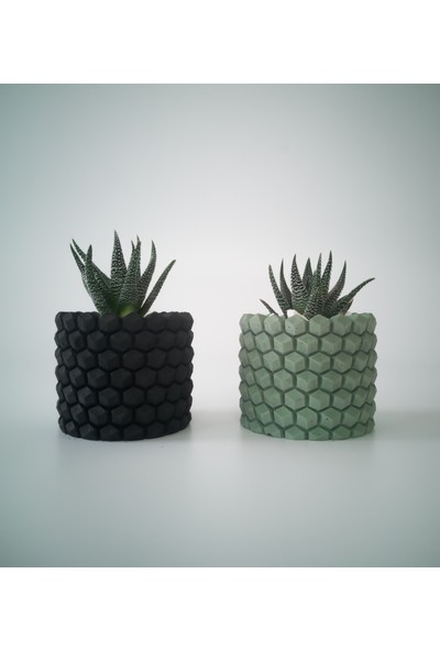2 Li Dekoratif Hediyelik Altıgen Desenli Sukulent & Kaktüs Saksısı