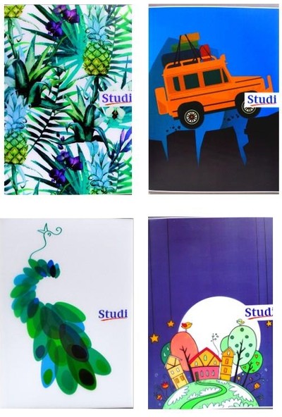 Studi A4 80 Yaprak Plastik Kapak Dikişli Defter 2 Kareli + 2 Çizgili Studi A4 80 Yaprak Plastik Kapak Dikişli Defter 2 Kareli + 2 Çizgili