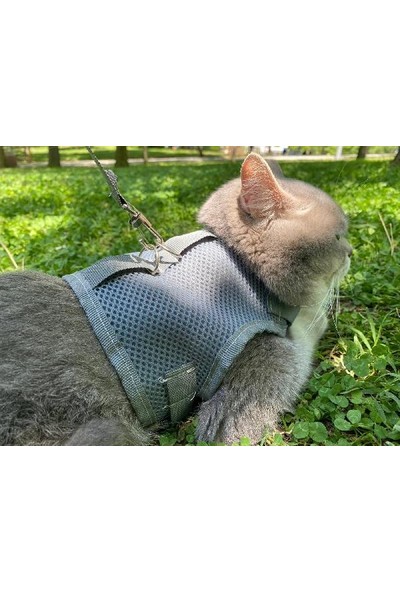 Share Story Kaçış Önleyici Fileli Kedi Göğüs Taması(gri) Share Story Kaçış Önleyici Fileli Kedi Göğüs Taması(gri)
