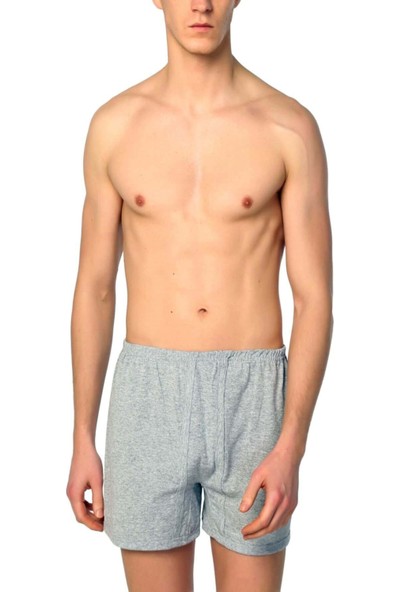 Stil Budur Seher Yıldızı Arjantin Boxer Gri Stil Budur Seher Yıldızı Arjantin Boxer Gri