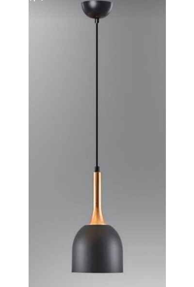Riolight Modern Siyah Tekli Metal Sarkıt Avize Riolight Modern Siyah Tekli Metal Sarkıt Avize
